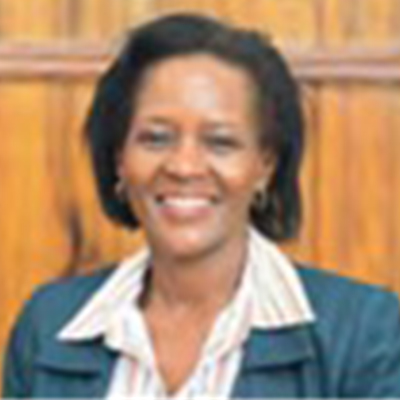 Board – Finnlemm Sacco